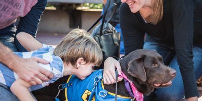 Cómo trabajan los perros de asistencia terapeútica con niños con ...